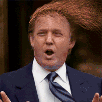 Buffoon GIFs - Get the best gif on GIFER