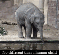 Straw GIFs - Get the best gif on GIFER