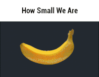 Smallest GIFs - Get the best gif on GIFER