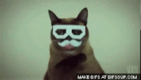 Dap GIFs - Get the best gif on GIFER