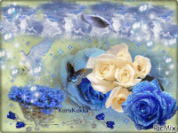 Cfb GIFs - Get the best gif on GIFER