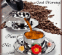 Bvcxz GIFs - Get the best gif on GIFER