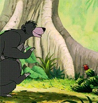 Baloo GIFs - Get the best gif on GIFER