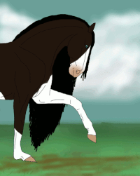 Paws GIFs - Get the best gif on GIFER