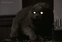 Evil GIFs - Get the best gif on GIFER