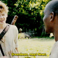 Newts GIFs - Get the best gif on GIFER