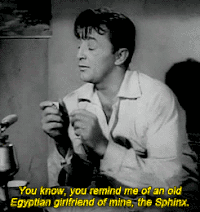 Macao GIFs - Get the best gif on GIFER