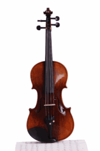 Violin GIFs - Get the best gif on GIFER