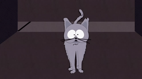 Mr kitty GIF - Conseguir el mejor gif en GIFER