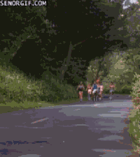 Tricycles GIFs - Get the best gif on GIFER