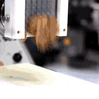 Toilette GIFs - Get the best gif on GIFER