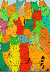 Trippy cats GIF - Conseguir o melhor gif em GIFER