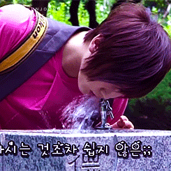 Sen GIFs - Get the best gif on GIFER