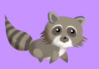 Racoons GIFs - Get the best gif on GIFER