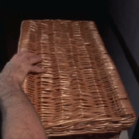 Casing GIFs - Get the best gif on GIFER