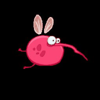 Mosquito GIFs - Get the best gif on GIFER