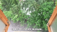 Rainfall GIFs - Get the best gif on GIFER