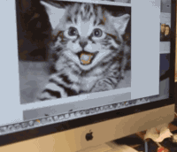 Feature GIFs - Get the best gif on GIFER