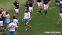 Scotland GIFs - Get the best gif on GIFER