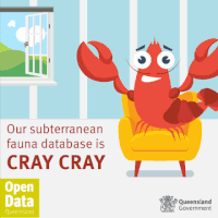 Queensland GIFs - Get the best gif on GIFER