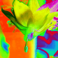 Colorido GIFs - Get the best gif on GIFER