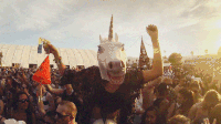 Festival GIFs - Get the best gif on GIFER