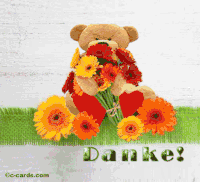 Deutsch GIFs - Get the best gif on GIFER