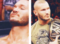 Wrestling GIFs - Get the best gif on GIFER