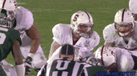 Msu GIFs - Get the best gif on GIFER