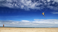 Kite GIFs - Get the best gif on GIFER