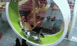 Energy crisis solution GIF - Conseguir el mejor gif en GIFER