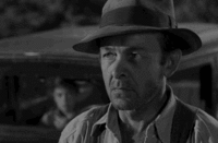 Finch GIFs - Get the best gif on GIFER