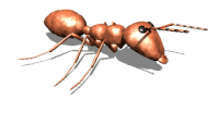 Ant GIFs - Get the best gif on GIFER