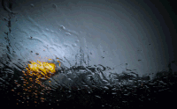 Windshield GIFs - Get the best gif on GIFER