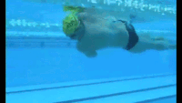 Swim GIFs - Get the best gif on GIFER