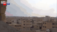 Syria GIFs - Get the best gif on GIFER