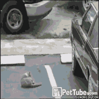Retreats GIFs - Get the best gif on GIFER