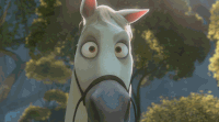 Maximus GIFs - Get the best gif on GIFER