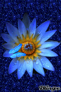 Lotus GIFs - Get the best gif on GIFER