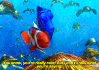 Finding Gifs Get The Best Gif On Gifer