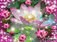 Lotus GIFs - Get the best gif on GIFER
