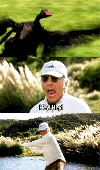 Enthusiasm GIFs - Get the best gif on GIFER