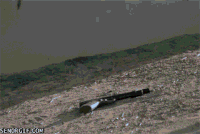 Tranquilizer GIFs - Get the best gif on GIFER