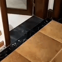 Carried GIFs - Get the best gif on GIFER