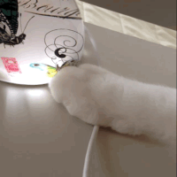 Claw GIFs - Get the best gif on GIFER