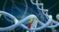 Dna GIFs - Get the best gif on GIFER