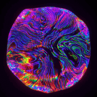 Orb GIFs - Get the best gif on GIFER