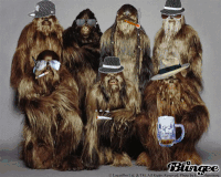 Вуки GIFs - Get the best gif on GIFER