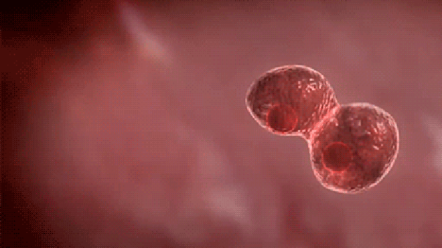 Cancer GIFs - Get the best gif on GIFER