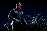 800 GIFs - Get the best gif on GIFER